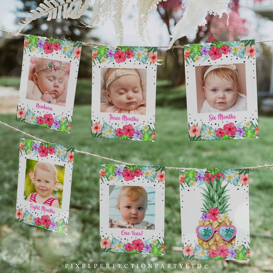 Editable Hawaiian Luau Birthday Monthly Banner Pineapple 1st Birthday ...