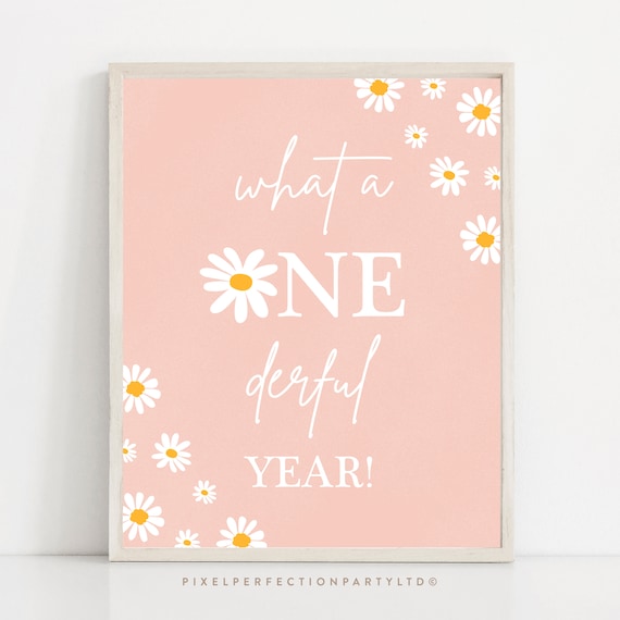 Daisy Birthday Party What A ONEderful Year Sign Little Miss One-derful ...