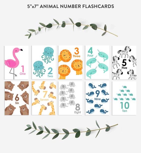 Animal Number Flash Cards Number Flash Cards Number Learning ...
