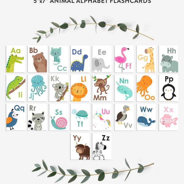 Animal Flash Cards - Etsy