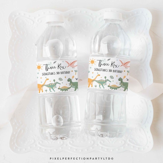 Editable Dinosaur Birthday Party Water Bottle Labels Dinosaur Bottle ...