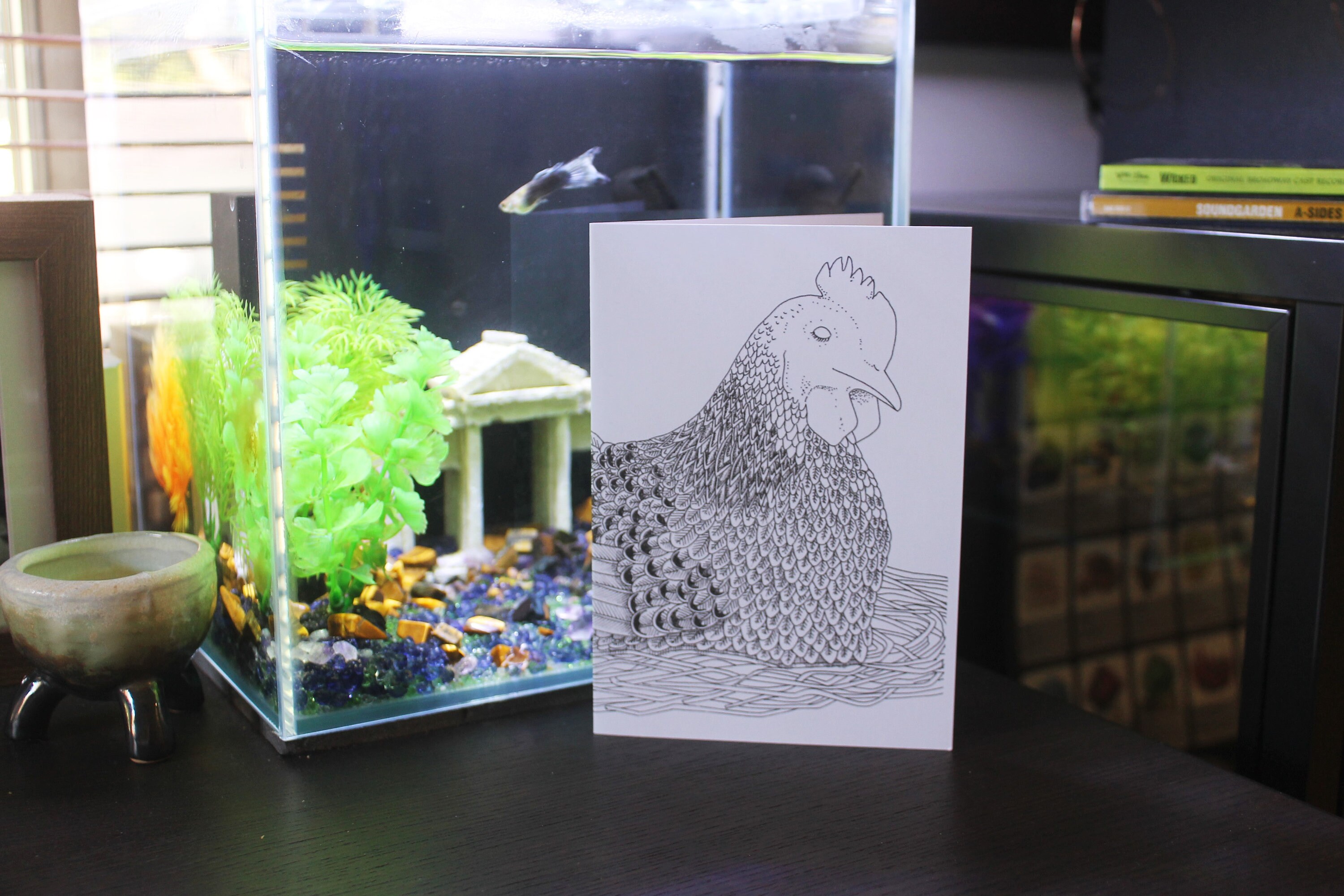 Chook Hen Colouring in CARD - Etsy Australia