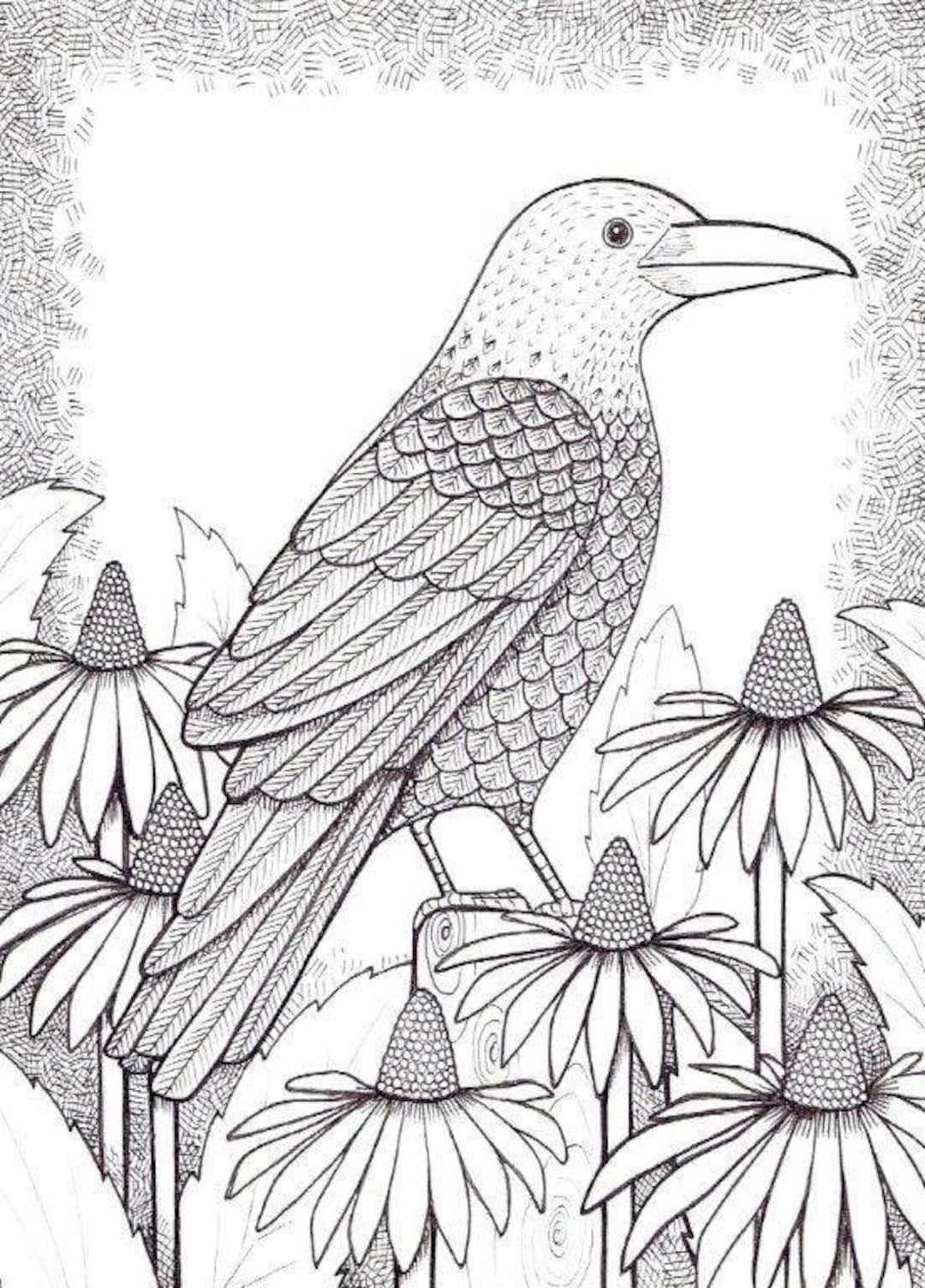 Ausmalbild Rabe / Krähe in CARD - Etsy.de