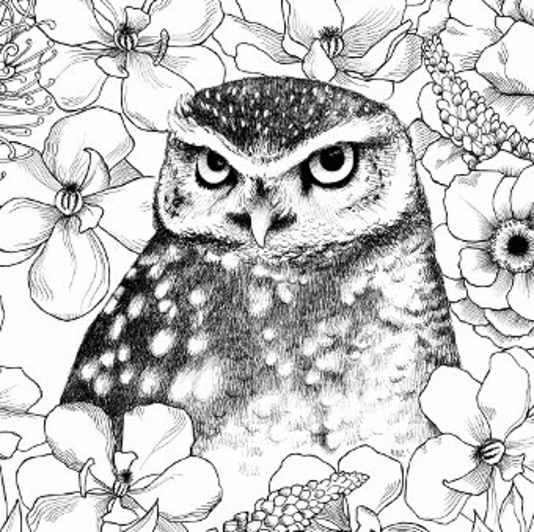Owl and Flowers Colouring in CARD - Etsy Canada