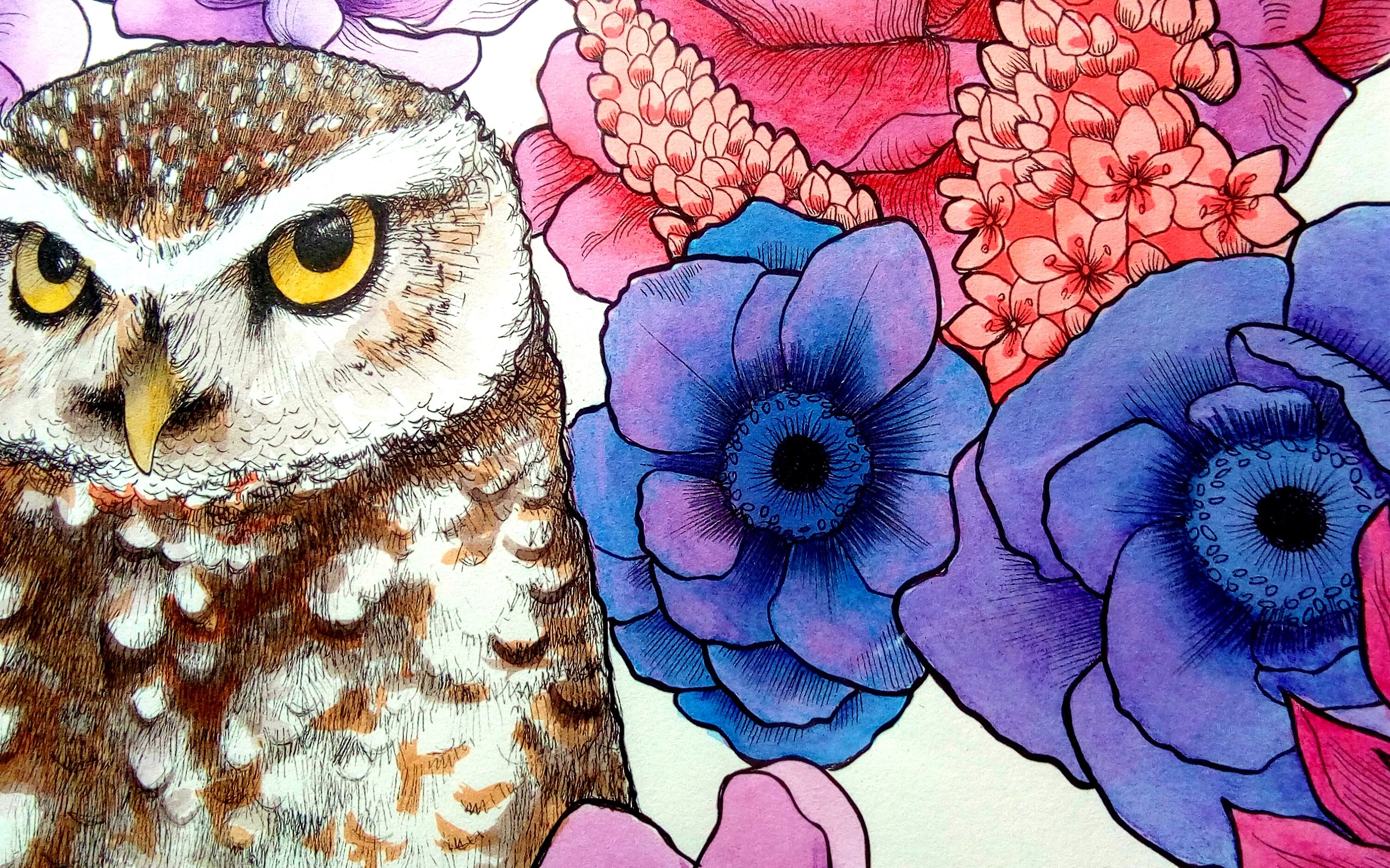 Owl and Flowers CARD | Etsy