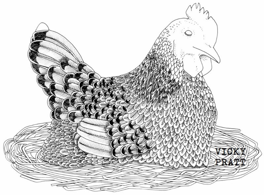 Chook Hen Colouring in CARD - Etsy Australia