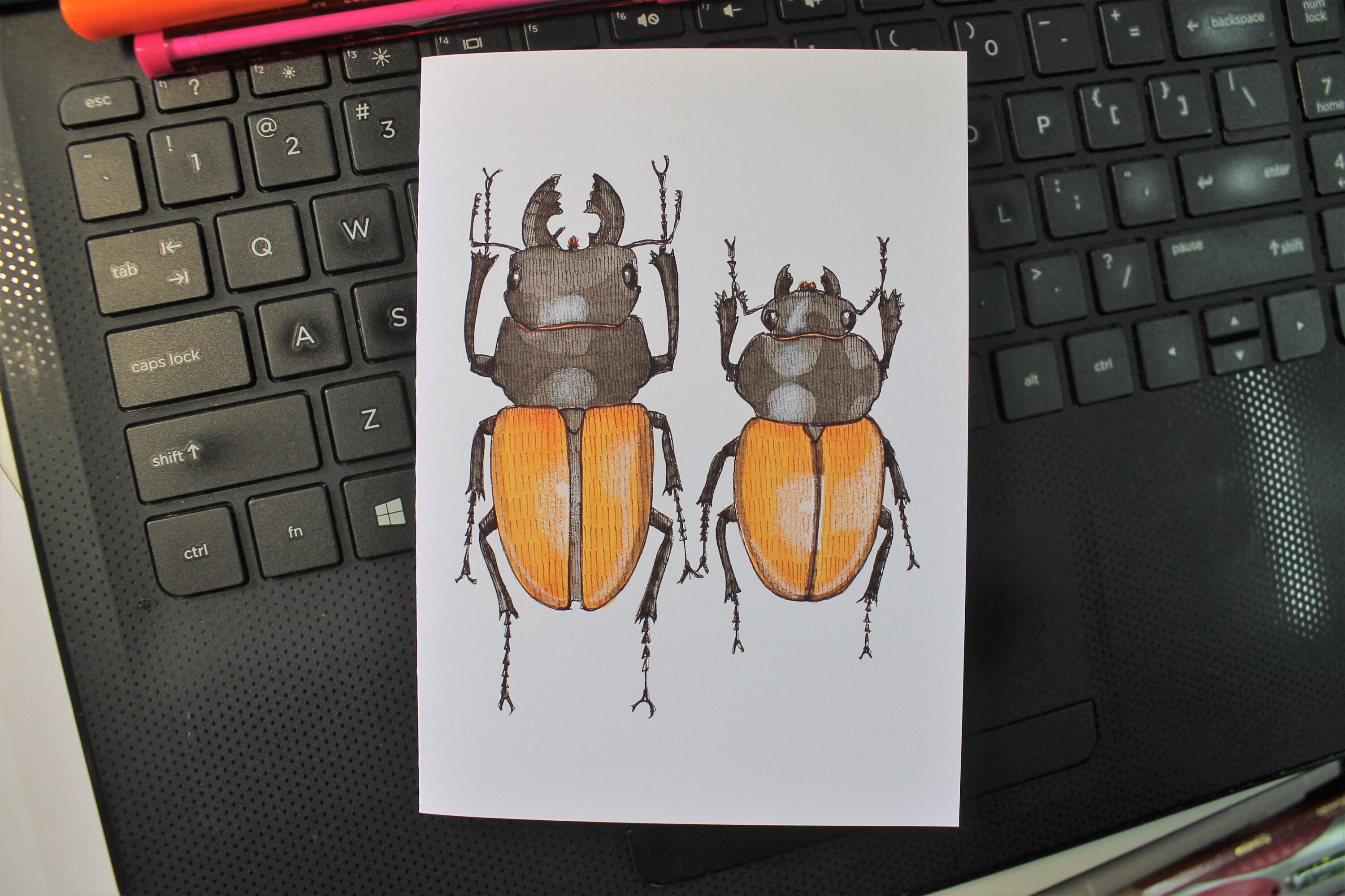 Stag Beetle Pair CARD - Etsy Canada
