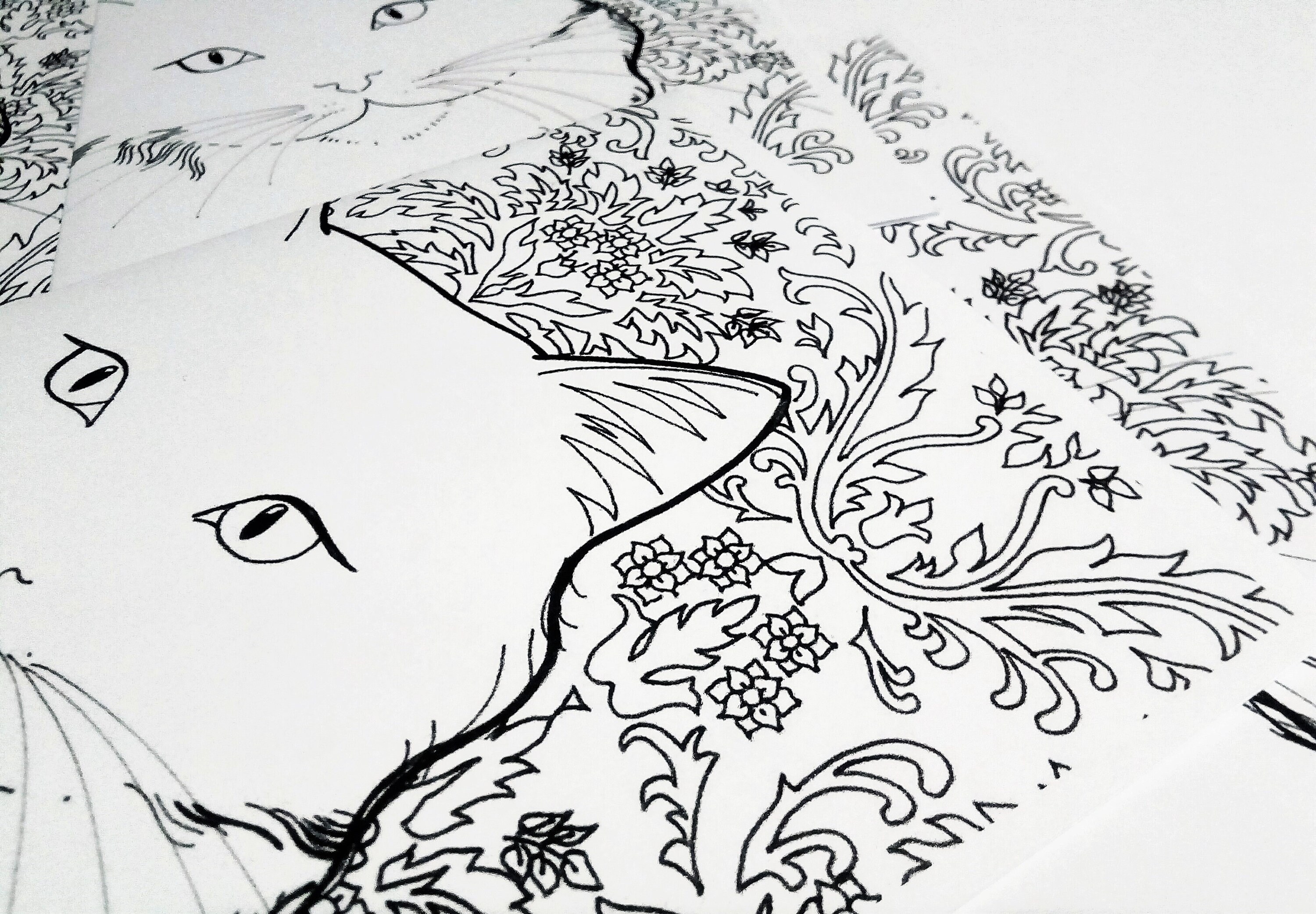 Cat With Filigree Colouring in CARD - Etsy