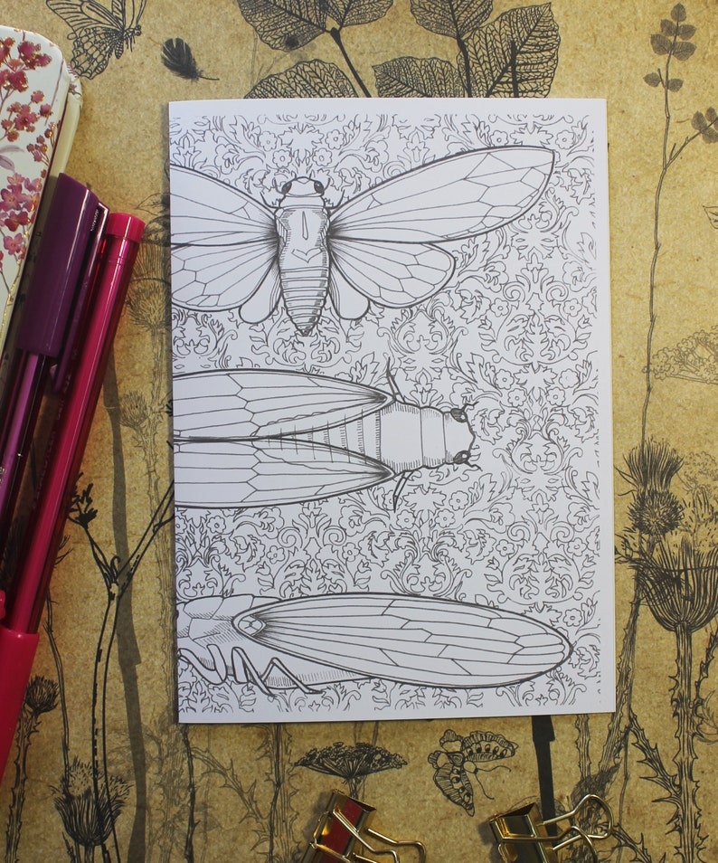 3 Cicadas and Filigree Colouring in CARD - Etsy
