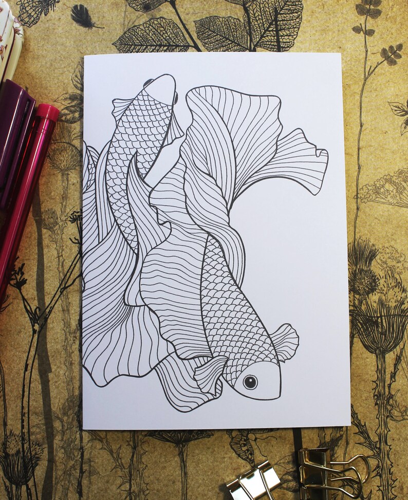 Betta /siamese Fighting Fish Colouring in CARD - Etsy