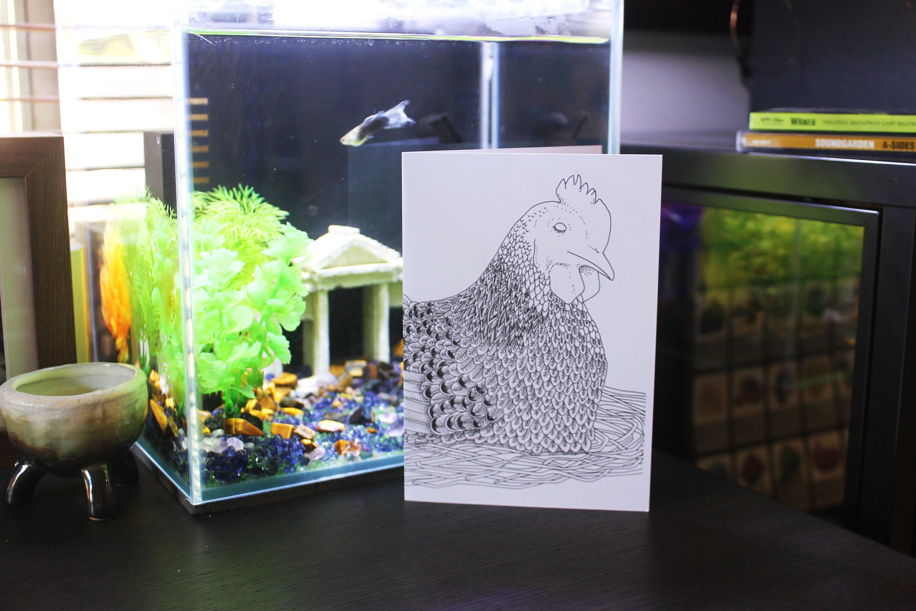 Chook Hen Colouring in CARD - Etsy Australia