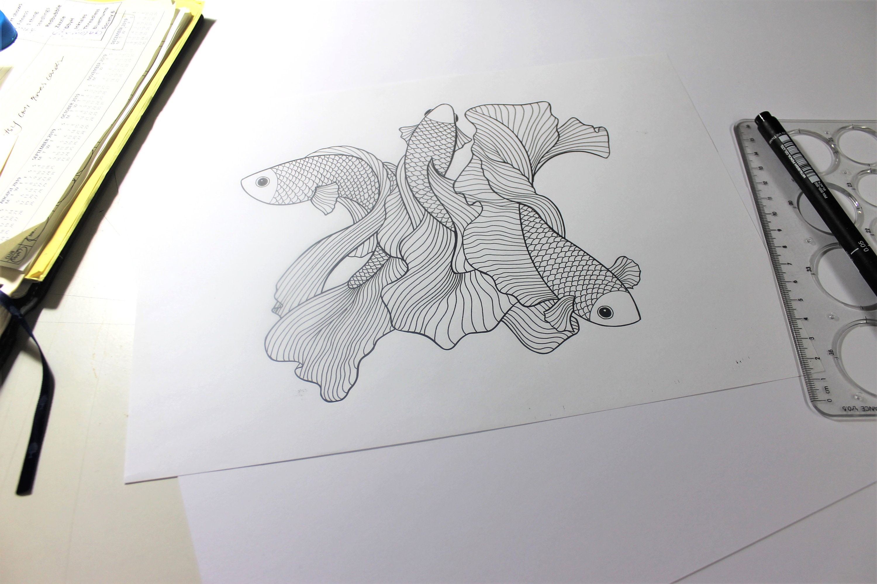 Betta /siamese Fighting Fish Colouring in CARD - Etsy