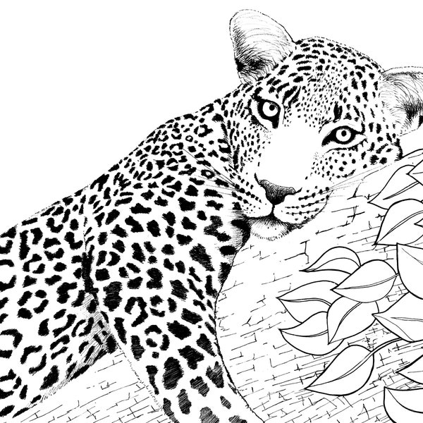 Leopard Colouring in Card - Etsy
