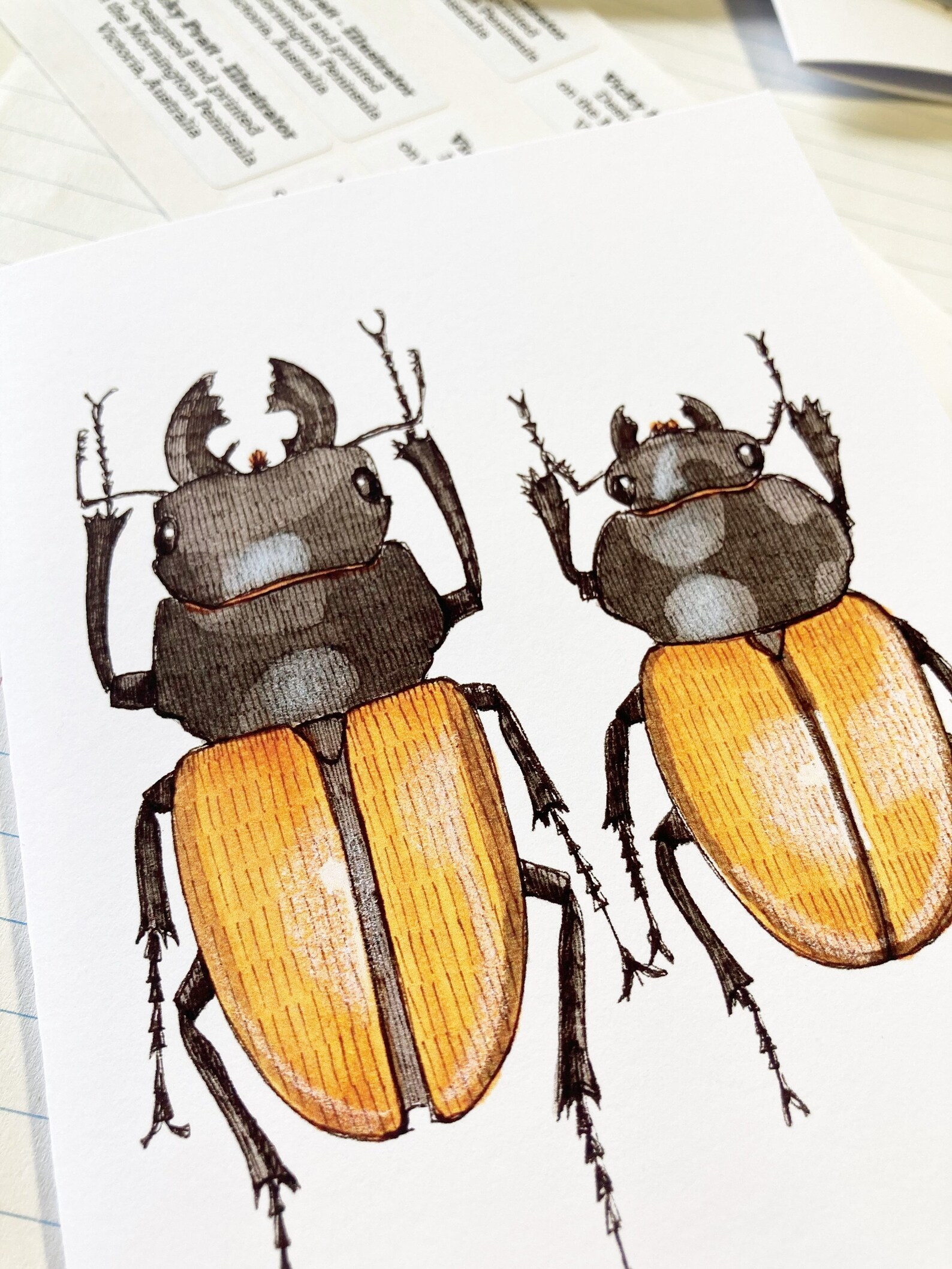 Stag Beetle Pair CARD - Etsy Canada