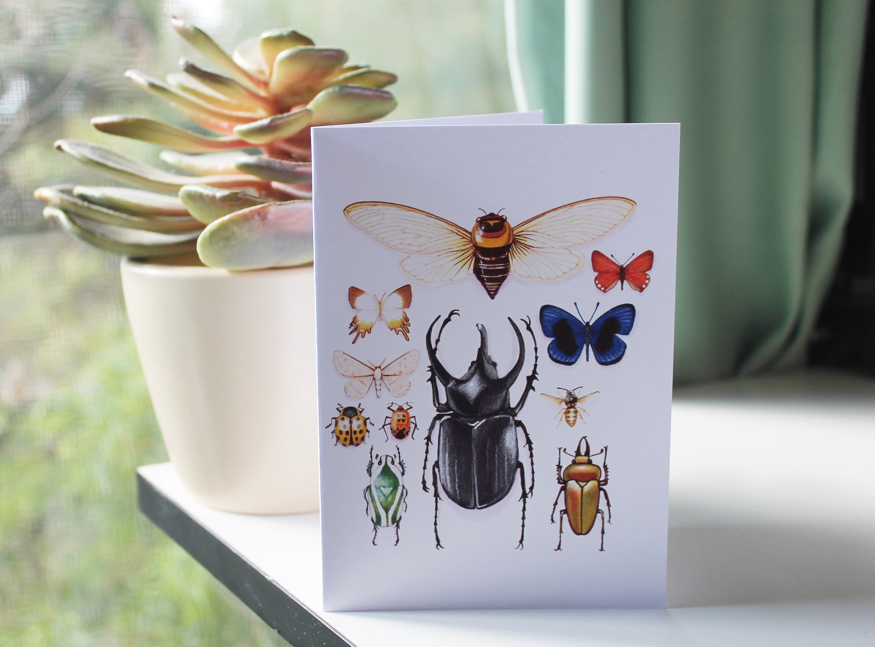 Insect Collection Detail CARD | Etsy