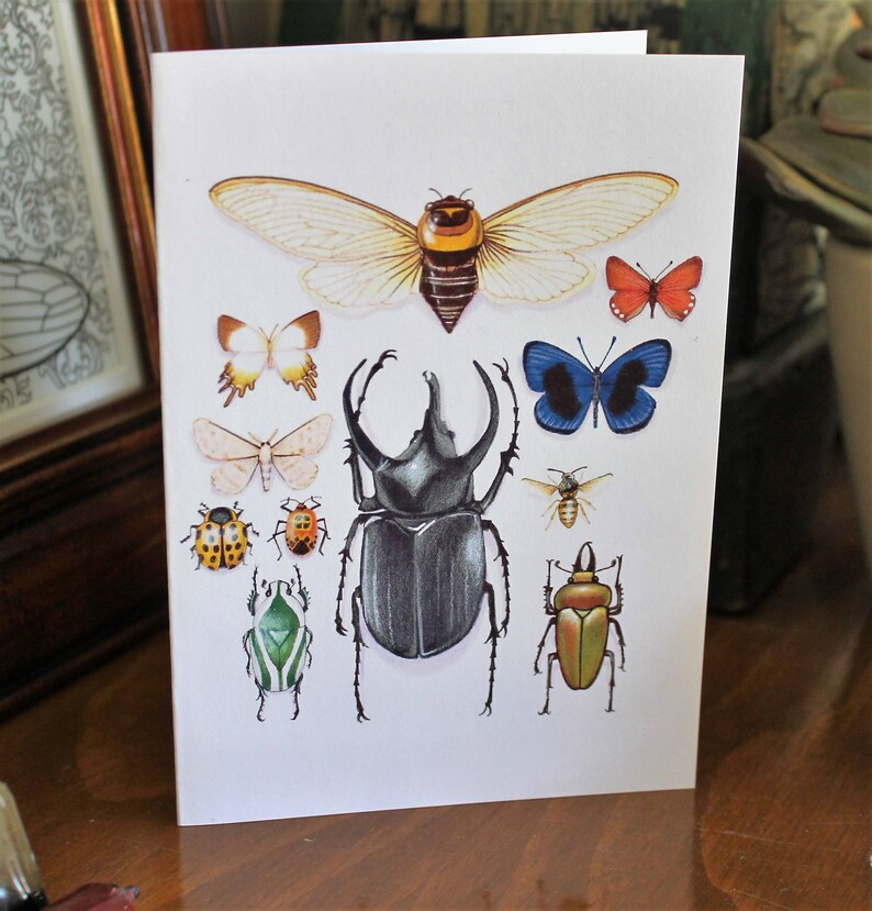Insect collection detail CARD | Etsy