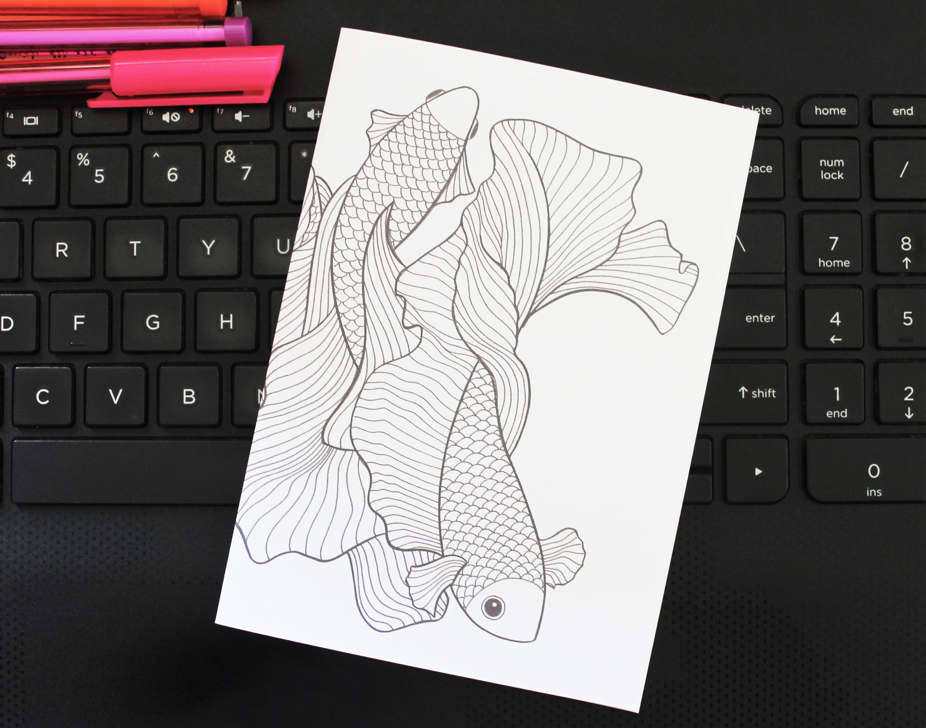 Betta /siamese Fighting Fish Colouring in CARD - Etsy