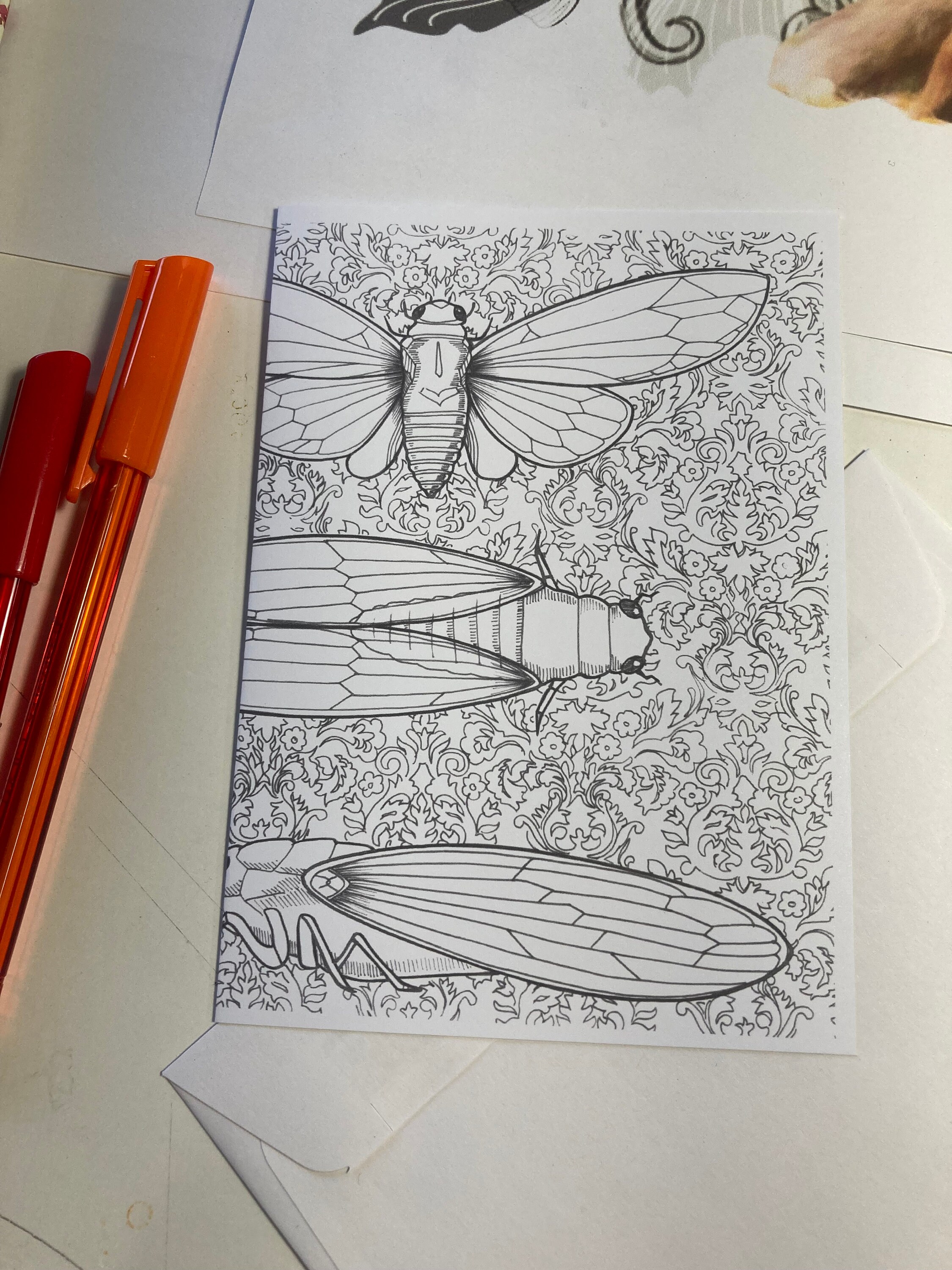 3 Cicadas and Filigree Colouring in CARD | Etsy