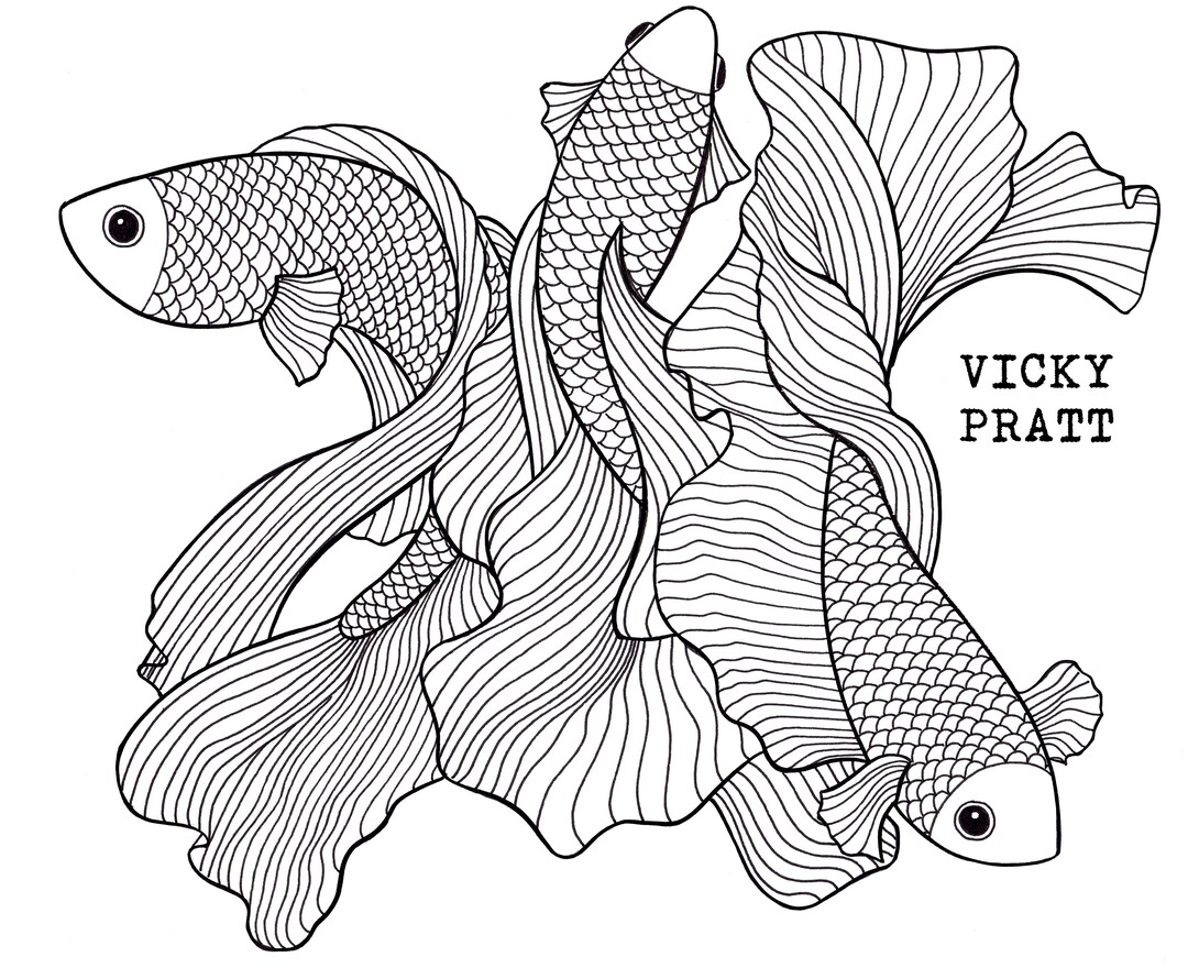 Betta /siamese Fighting Fish Colouring in CARD - Etsy