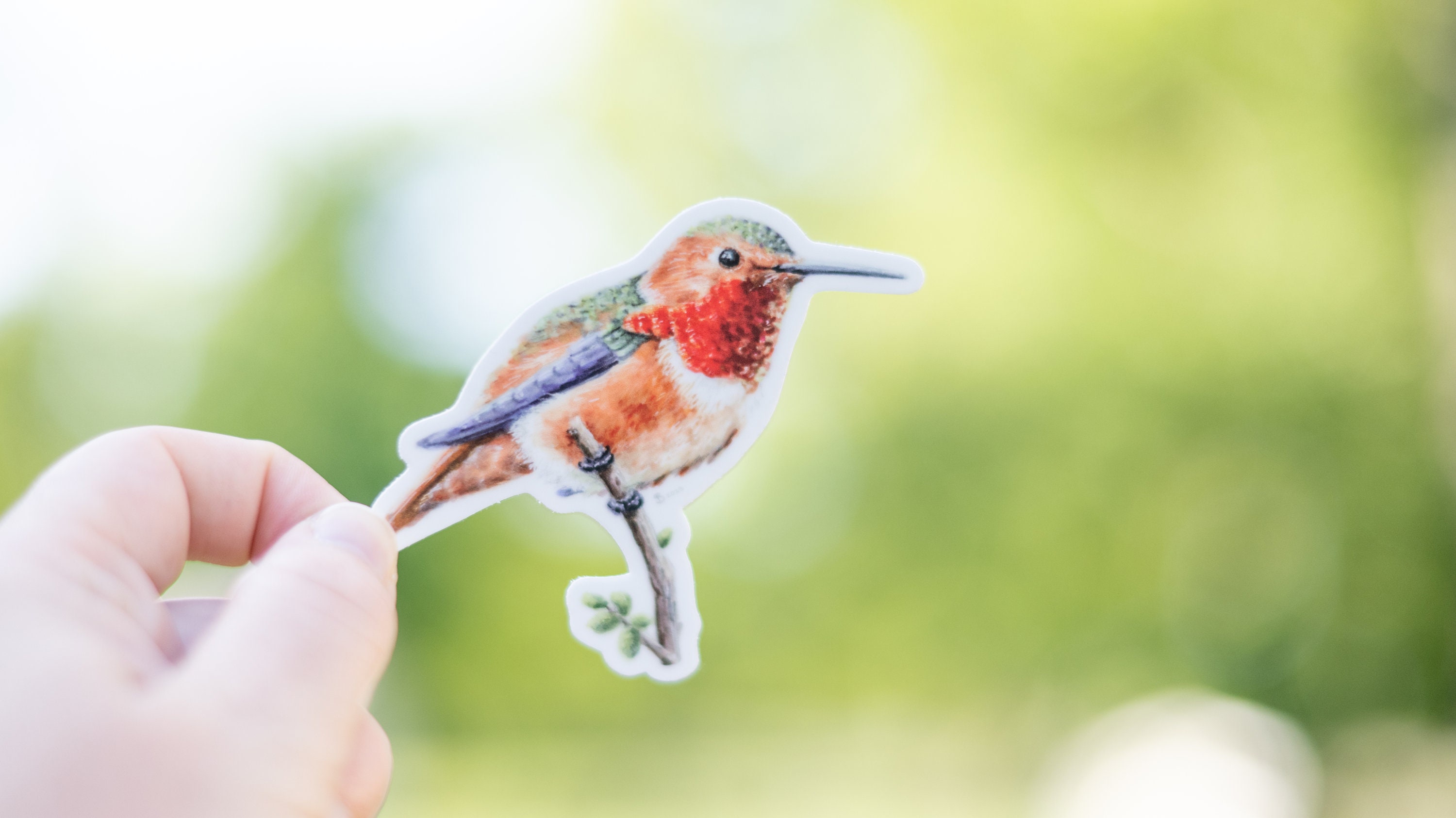 Allen's Hummingbird 3 Vinyl Sticker Decal Waterproof for Car, Laptop ...