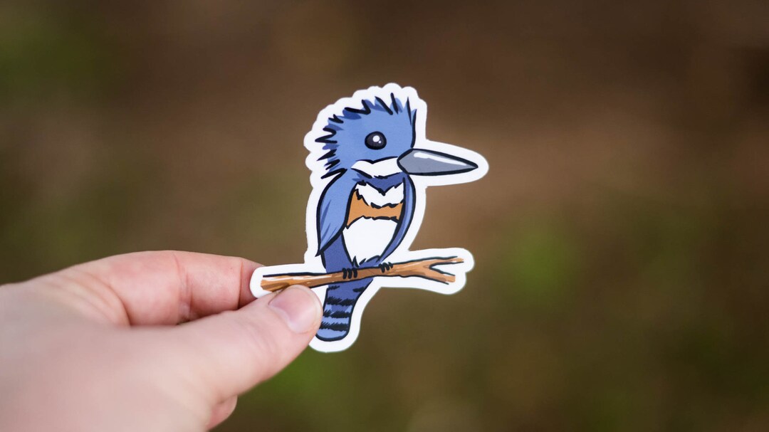 Cartoon Belted Kingfisher 3" Vinyl Sticker Decal - Waterproof - for Car ...