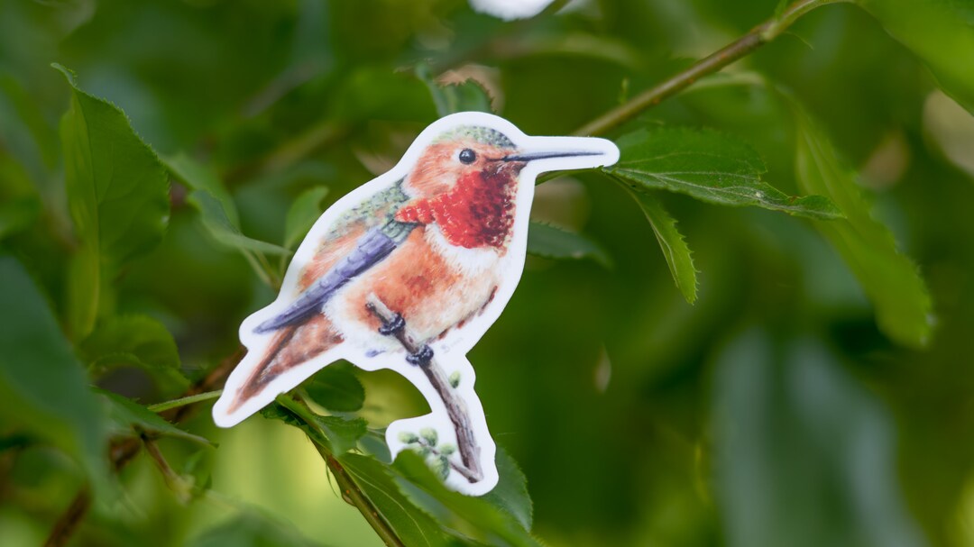 Allen's Hummingbird 3 Vinyl Sticker Decal Waterproof for Car, Laptop ...