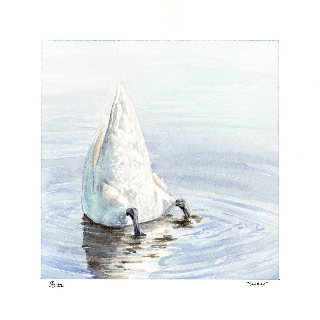 Swan Butt Giclee Print Unique Watercolor Bird Ideal Gift for for ...