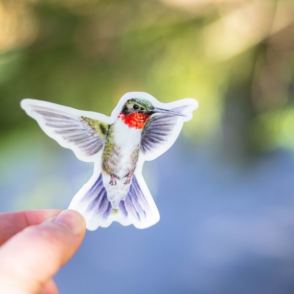 Hummingbird Sticker - Etsy