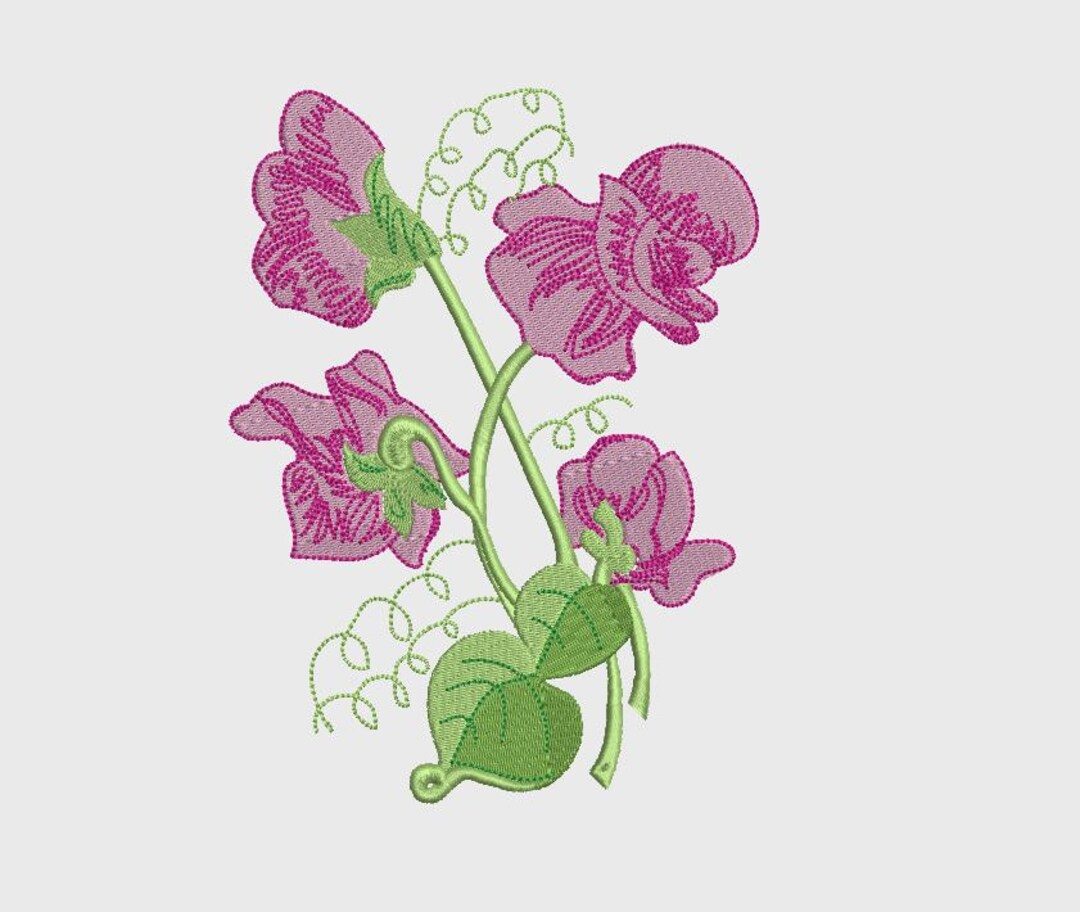 Sweet Pea Embroidery Design 3 SIZES / INSTANT DOWNLOAD 4x4 6x6 8x8 ...