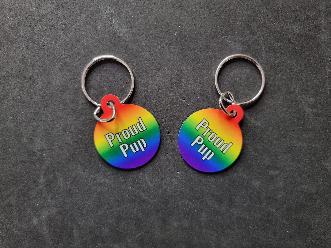 LGBT Pride Dog Tag LGBT Pride Gift for Dog Coming Out - Etsy