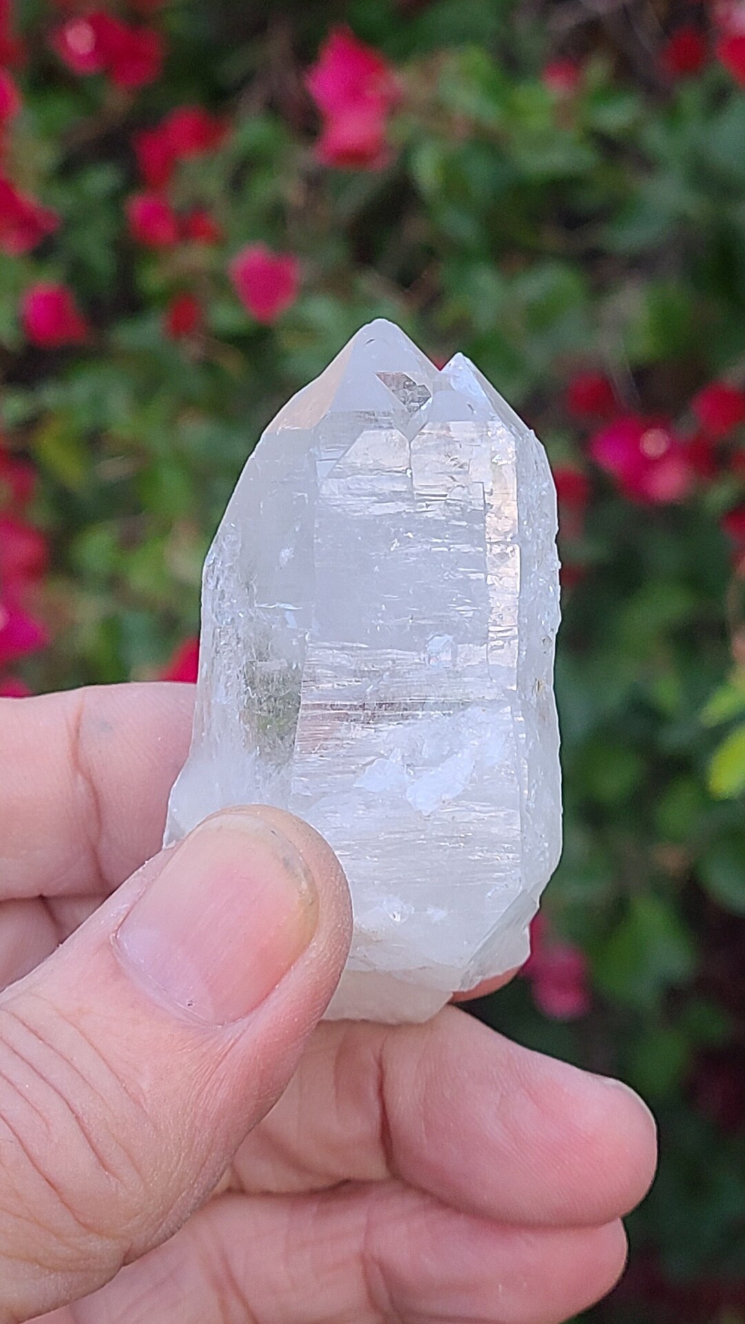 Self Healed Rainbow, Abundance, Record Keeper, Cathedral Quartz Crystal ...