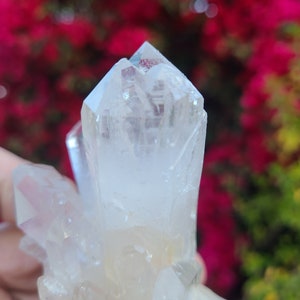 Self Healed to Double Terminated Rainbow Abundance Multi Cathedral ...