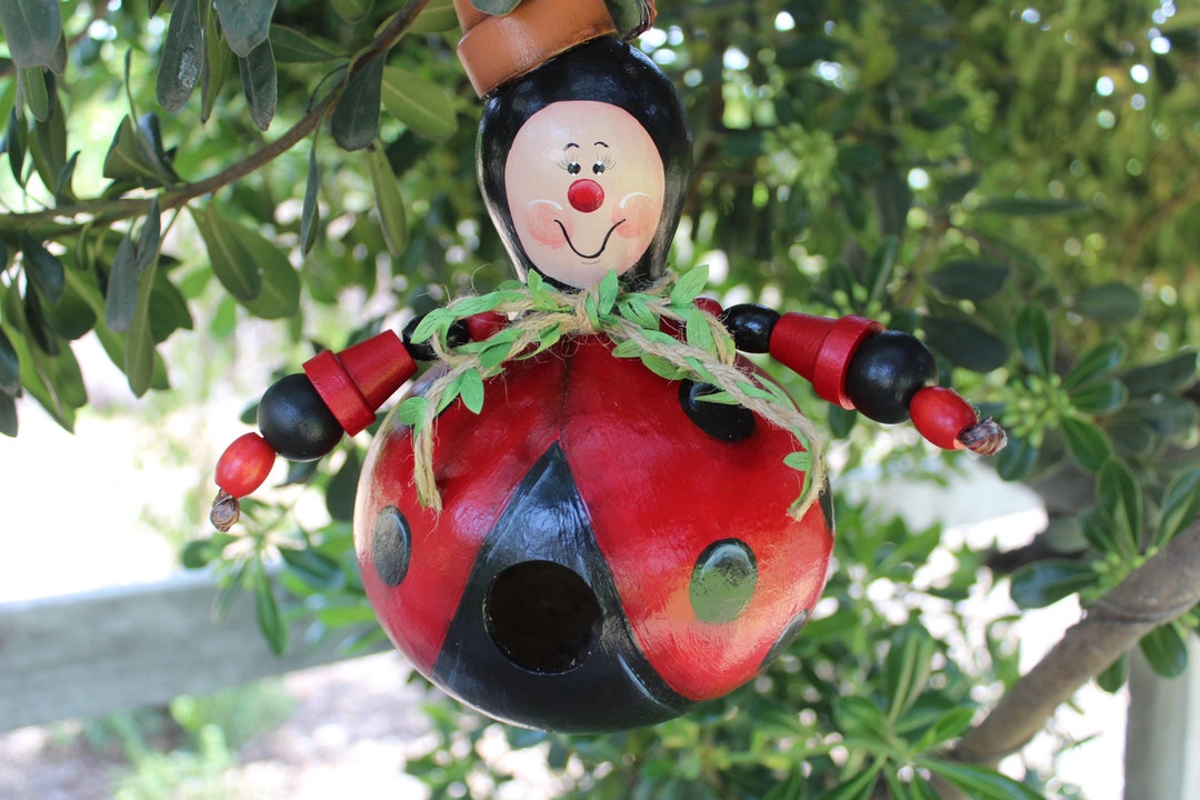 Ladybug Gourd Birdhouse, Hand Painted Bird House, Handpainted Lady Bug ...