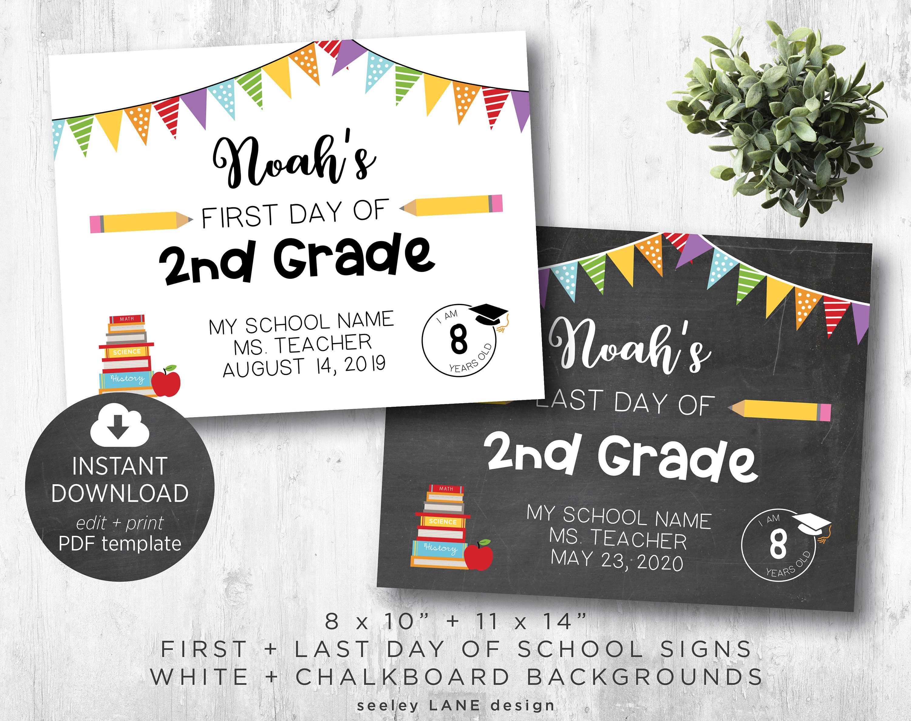 Mamiya Zd Digital Back for sale| 95 ads for used Mamiya Zd Digital Backs