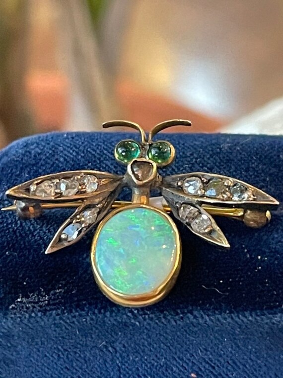 insect brooch - Gem