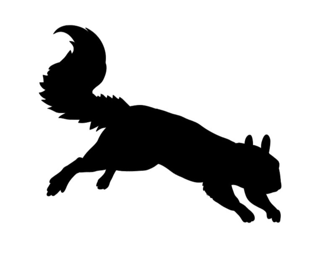 Jumping Squirrel Stencil RE-USABLE 8 Inch X 6.5 Inch - Etsy