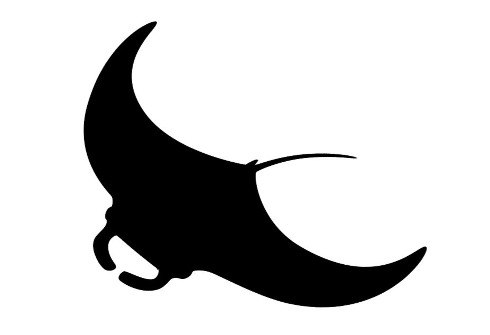 Manta Ray Re-usable Stencil 9.5 Inch X 7.5 Inch - Etsy