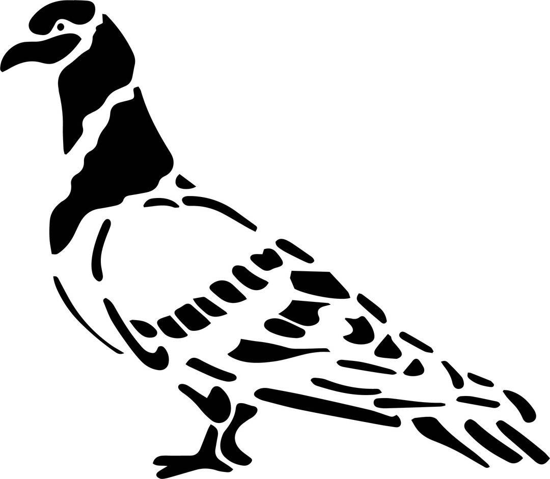 Pigeon Stencil RE-USABLE 7.5 X 8.5 INCH - Etsy UK