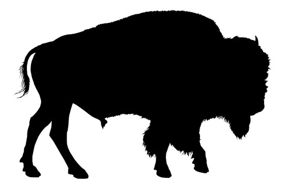 2 Pce Bison Stencil RE-USABLE 10 X 6.5 Inch | Etsy