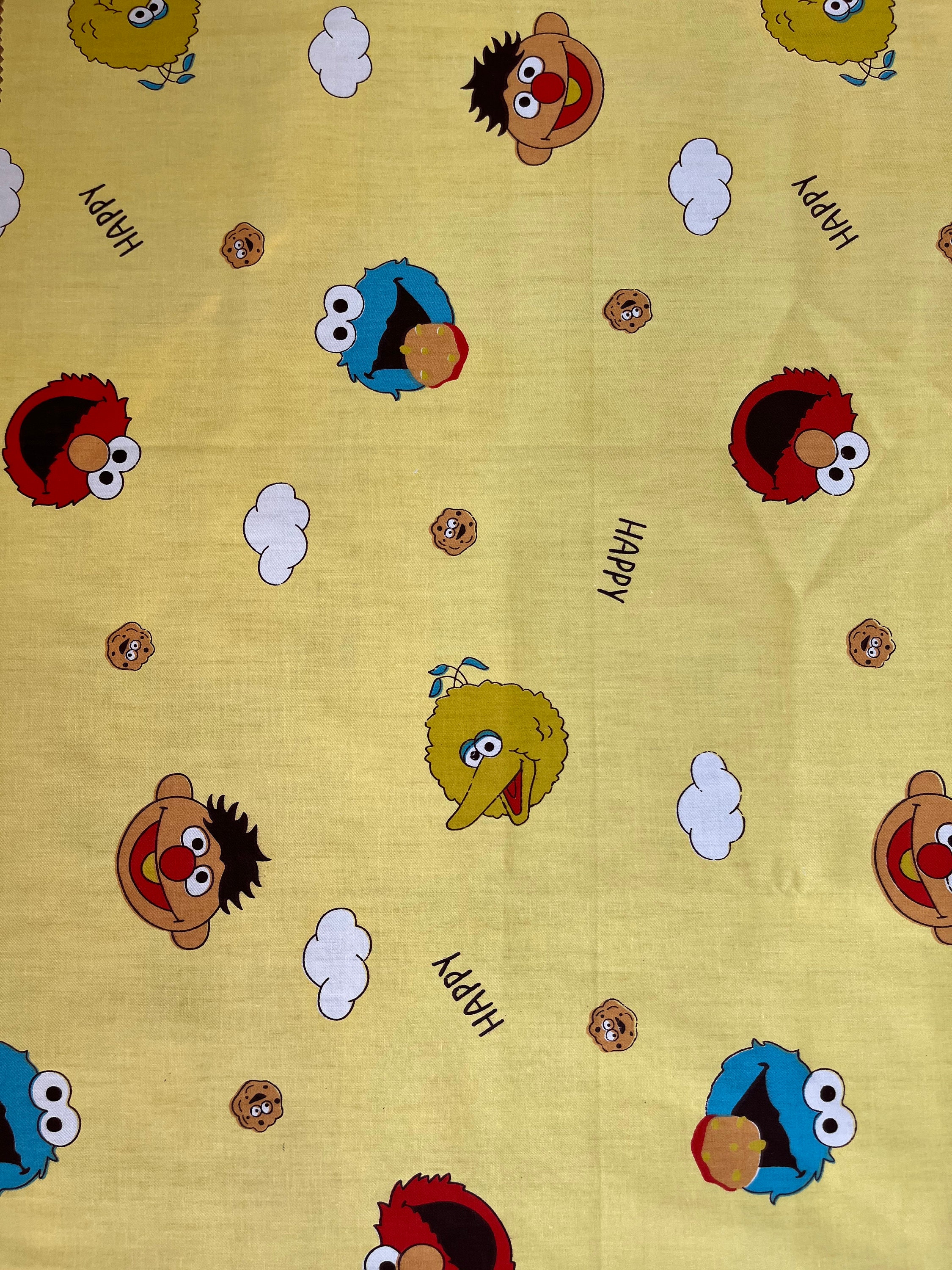 Sesame Street Birthday Invitations For Twins