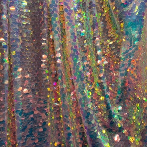 Pink Big Drop Lure Dangling 18 Mm Holographic Payette Sequin Fabric ...