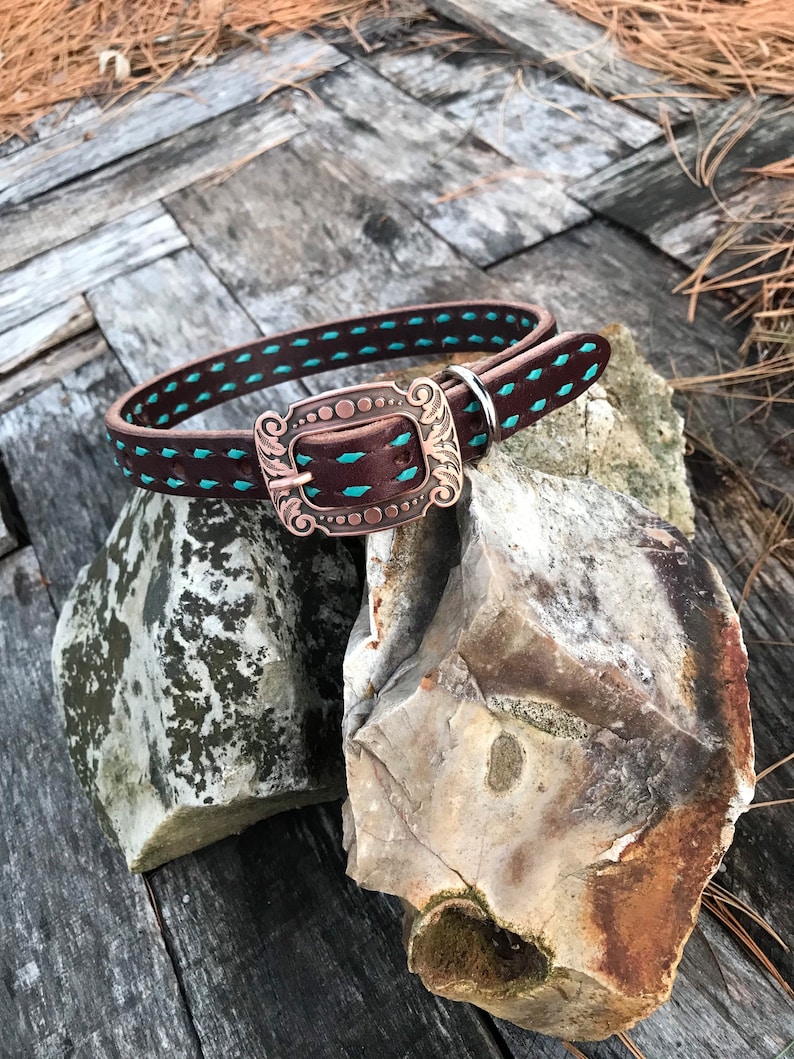 Chocolate Leather Buckstitch Dog Collar. Turquoise Buckstitch Dog ...