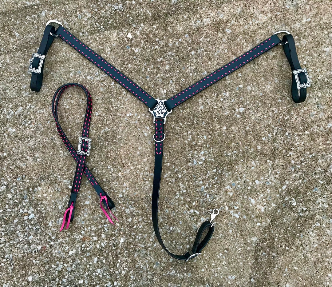 Hot Pink and Black Leather Buckstitch Tack Set. Black and Pink Leather ...