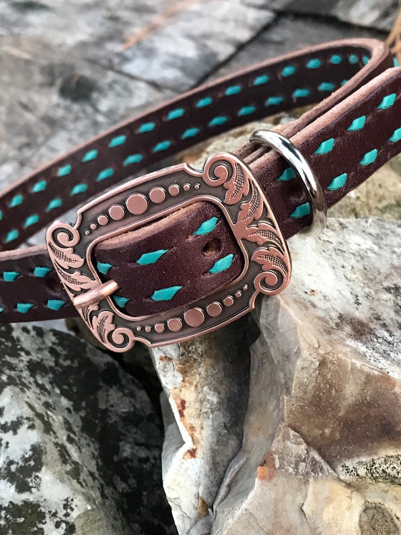 Chocolate Leather Buckstitch Dog Collar. Turquoise Buckstitch Dog ...