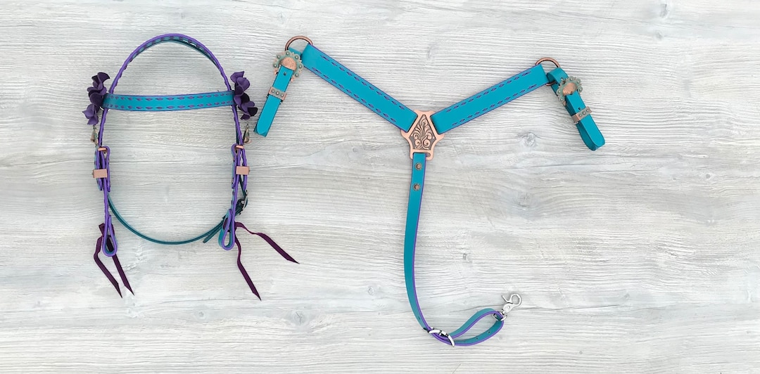 Turquoise Leather Miniature Horse Tack Set. Turquoise Mini Pony Tack ...