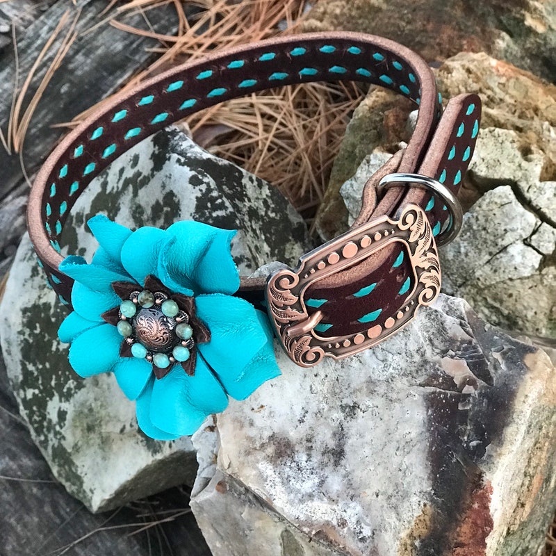 Turquoise Dog Collar - Etsy