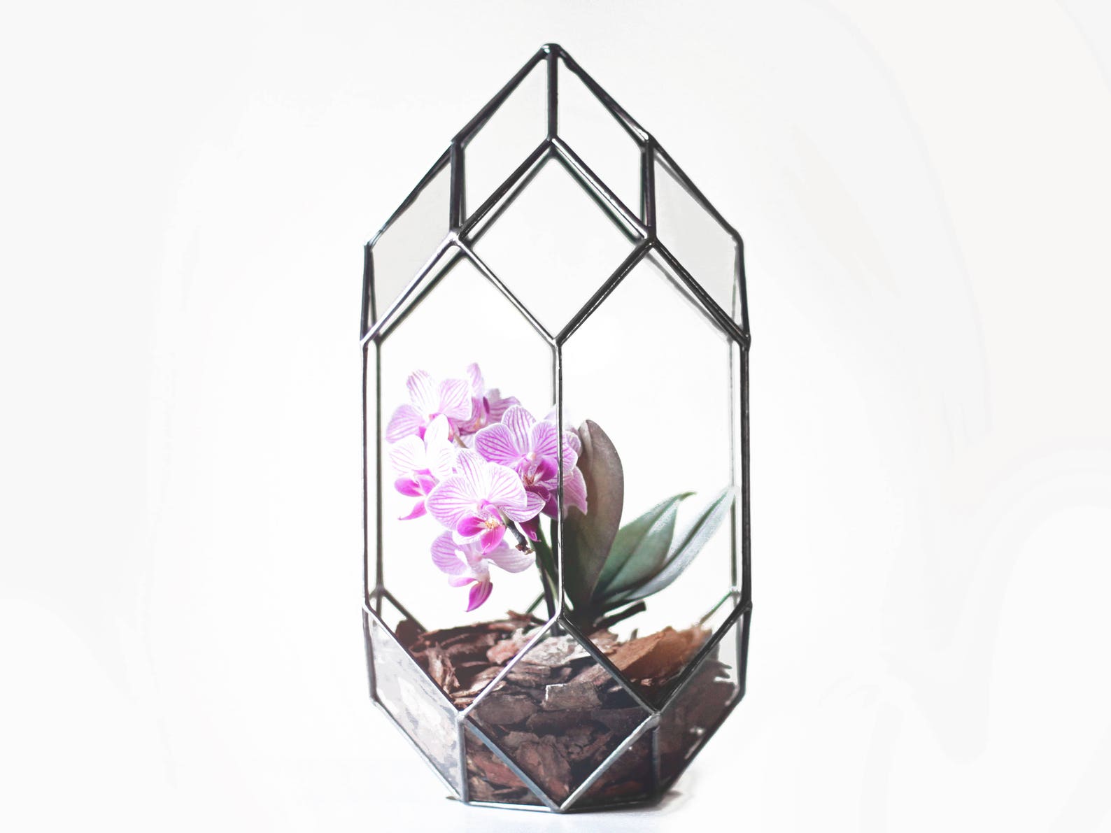 Glass Geometric Terrarium Container Orchid Planter Stained - Etsy