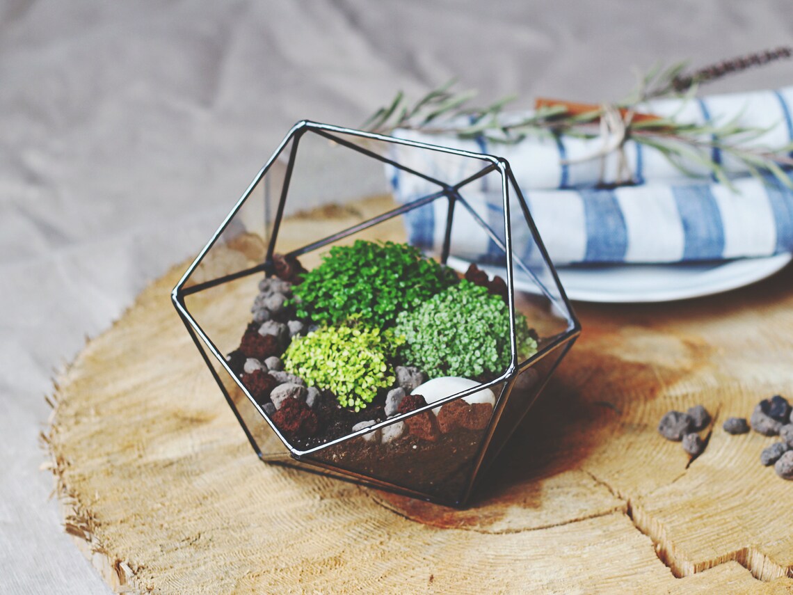 Geometric Glass Terrarium Container Modern Planter Coffee | Etsy