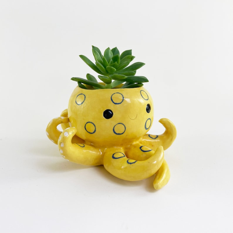 Octopus Planter, Octopus Pot, Handmade Ceramic Pot, Pots for Plants ...