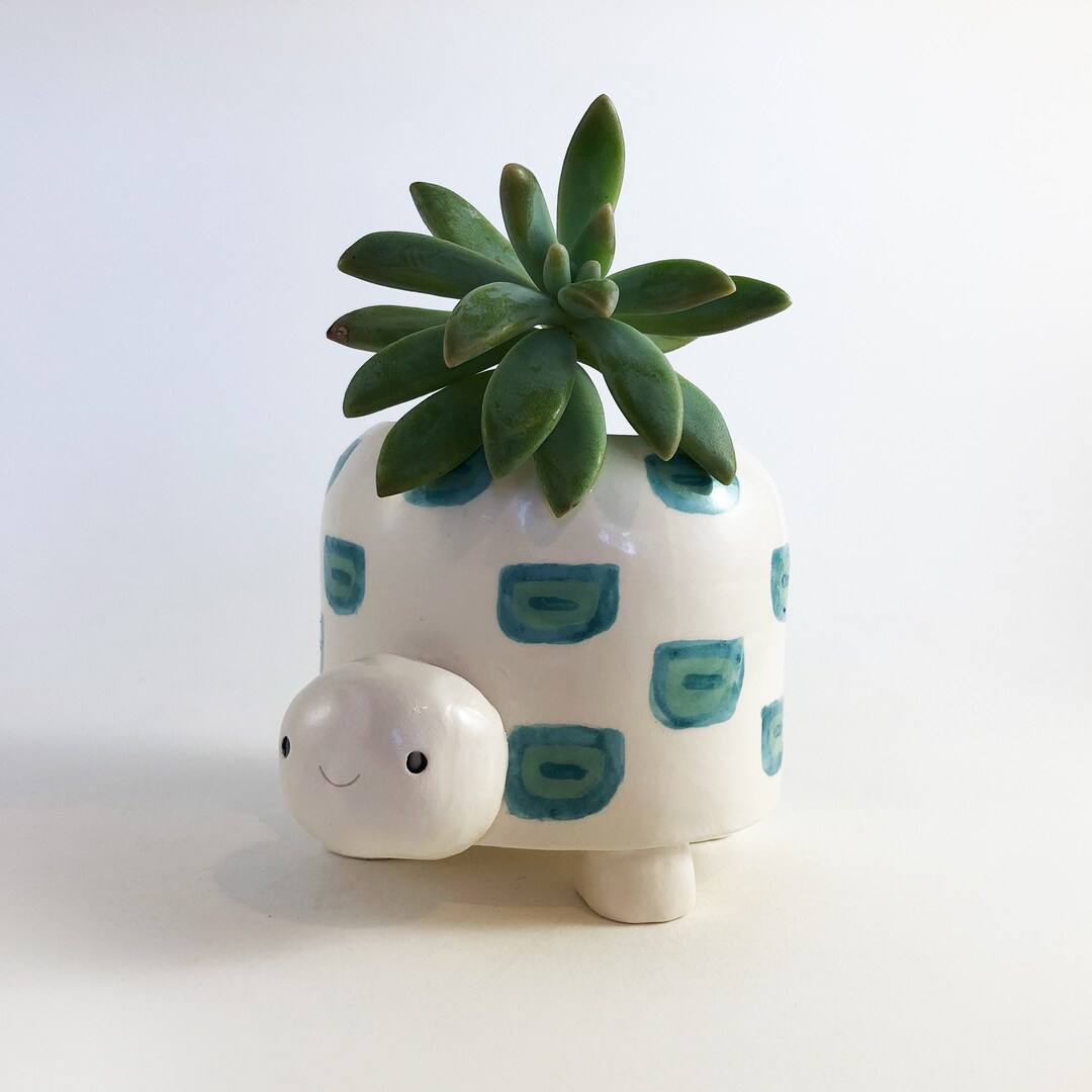 Turtle Planter | Tortoise Plant Pot | Succulent Planter | Pots for ...